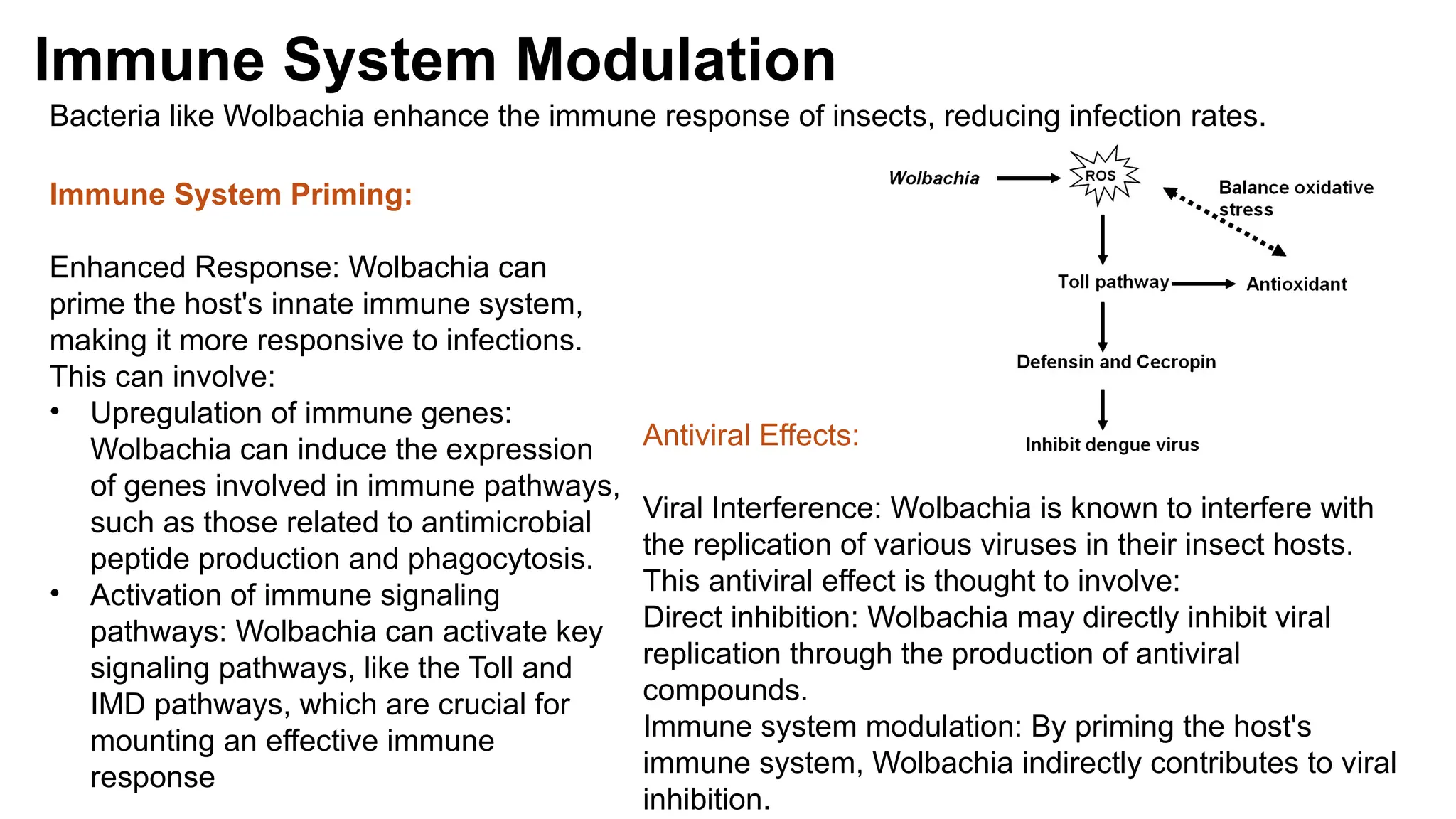 Endosymbionts in enhancing insect defense | PPTX