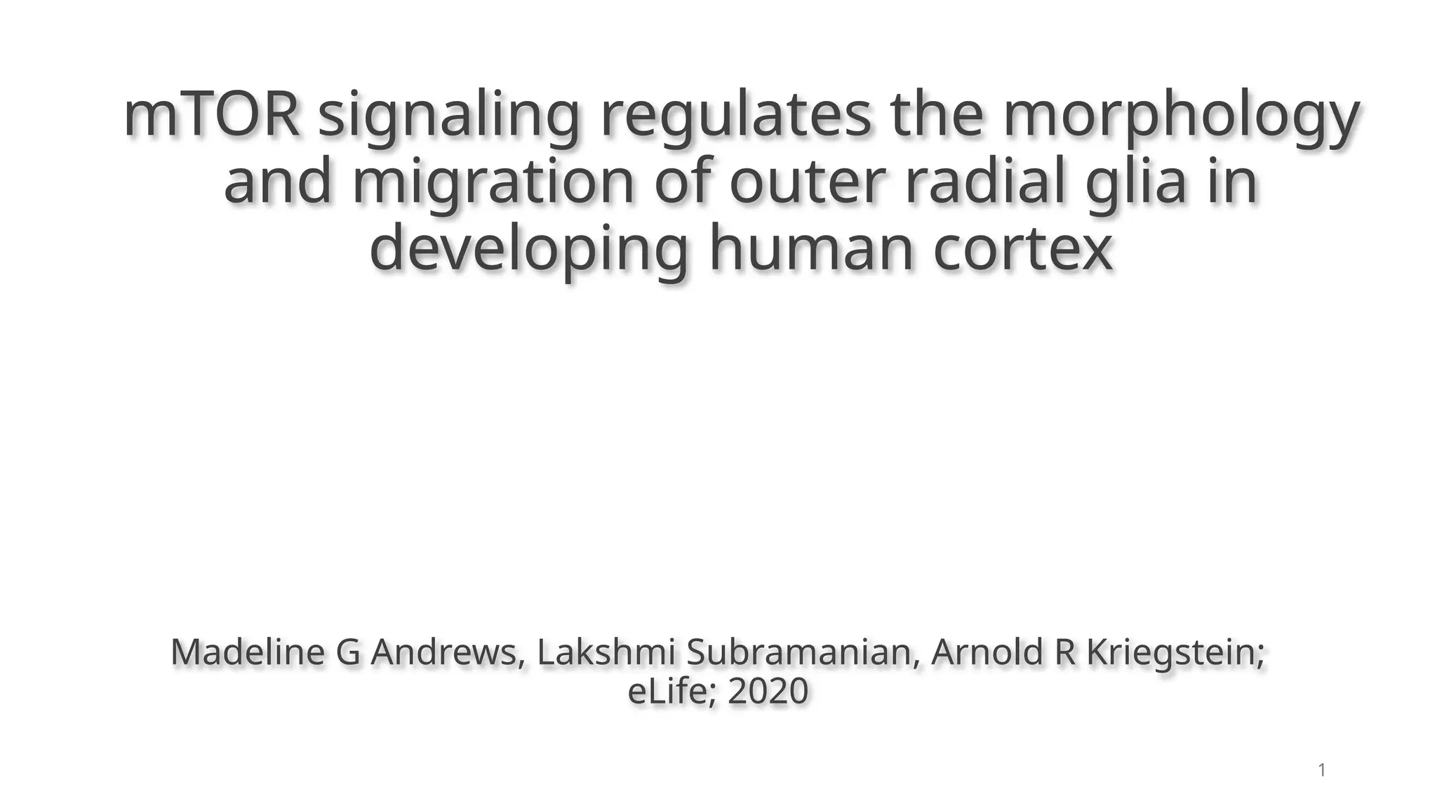 Mtor Signaling Regulates The Morphology And Migration Of Outer Radial Glia In Developing Human