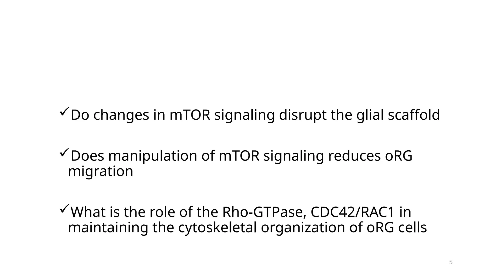 mTOR signaling regulates the morphology and migration of outer radial ...