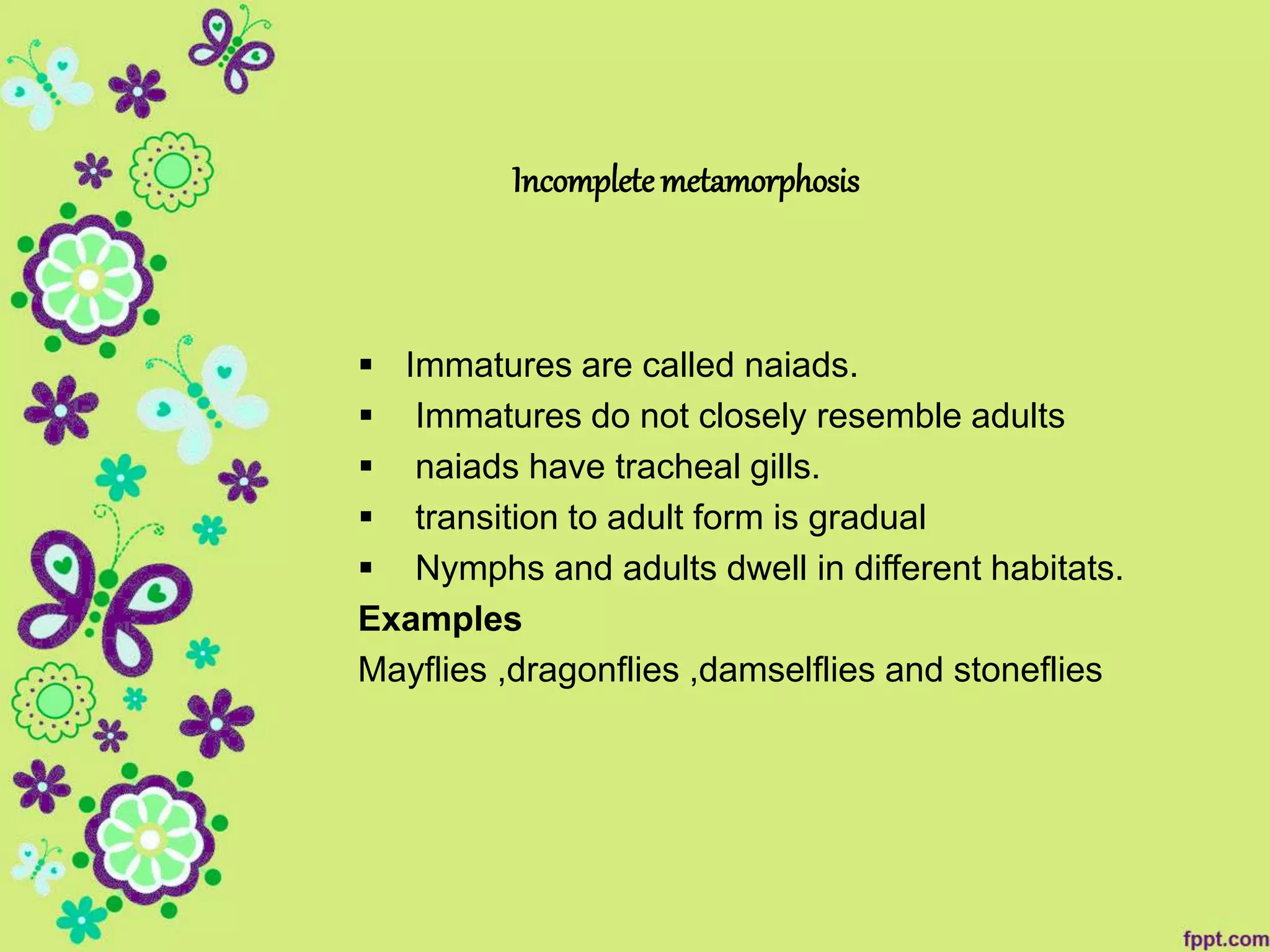 Metamorphosis in insects ,Its types (Mubaika seher) | PPT