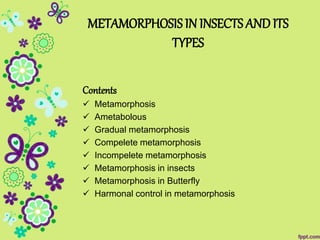 Metamorphosis in insects ,Its types (Mubaika seher) | PPT