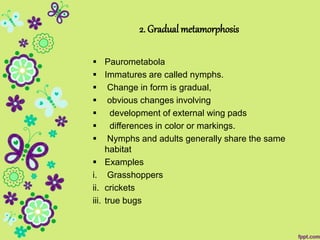Metamorphosis in insects ,Its types (Mubaika seher) | PPT