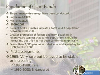 Wildlife of Giant panda | PPTX