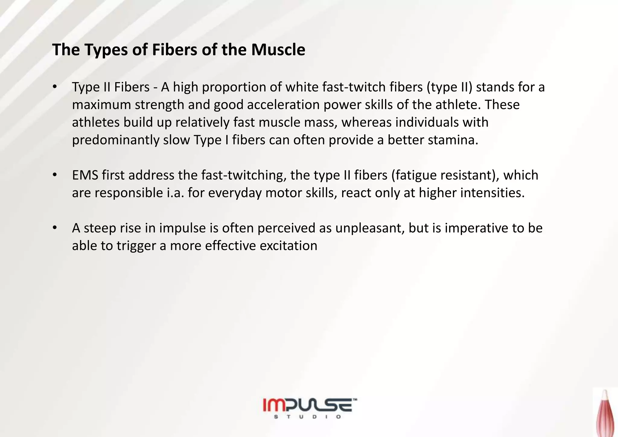Presentation muscles fibers - EMS Training | PPTX | Bodybuilding | Sports