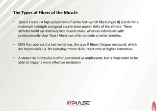 Presentation muscles fibers - EMS Training | PPTX | Bodybuilding | Sports