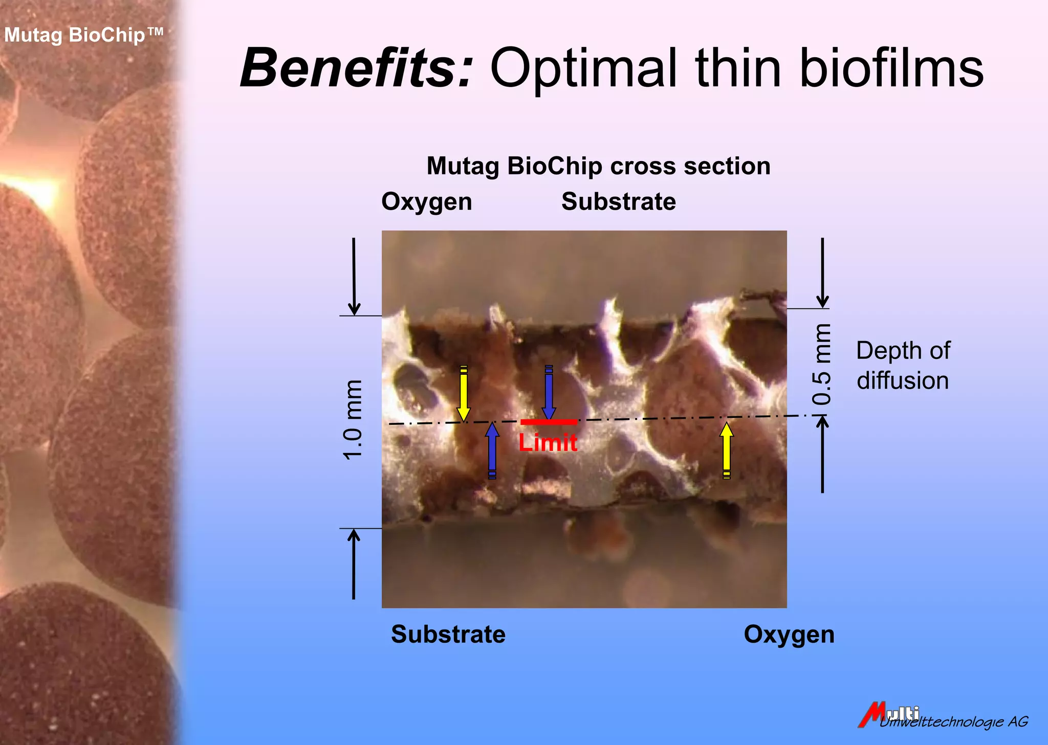 Presentation about Mutag BioChip: 3,000 m2/m3 high-performance biofilm ...