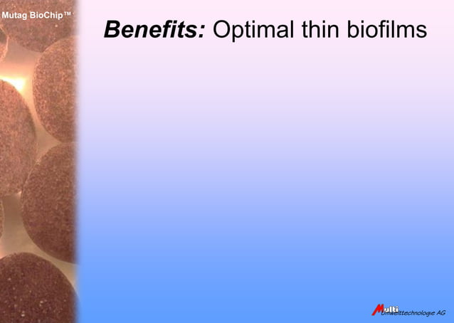 Presentation about Mutag BioChip: 3,000 m2/m3 high-performance biofilm ...