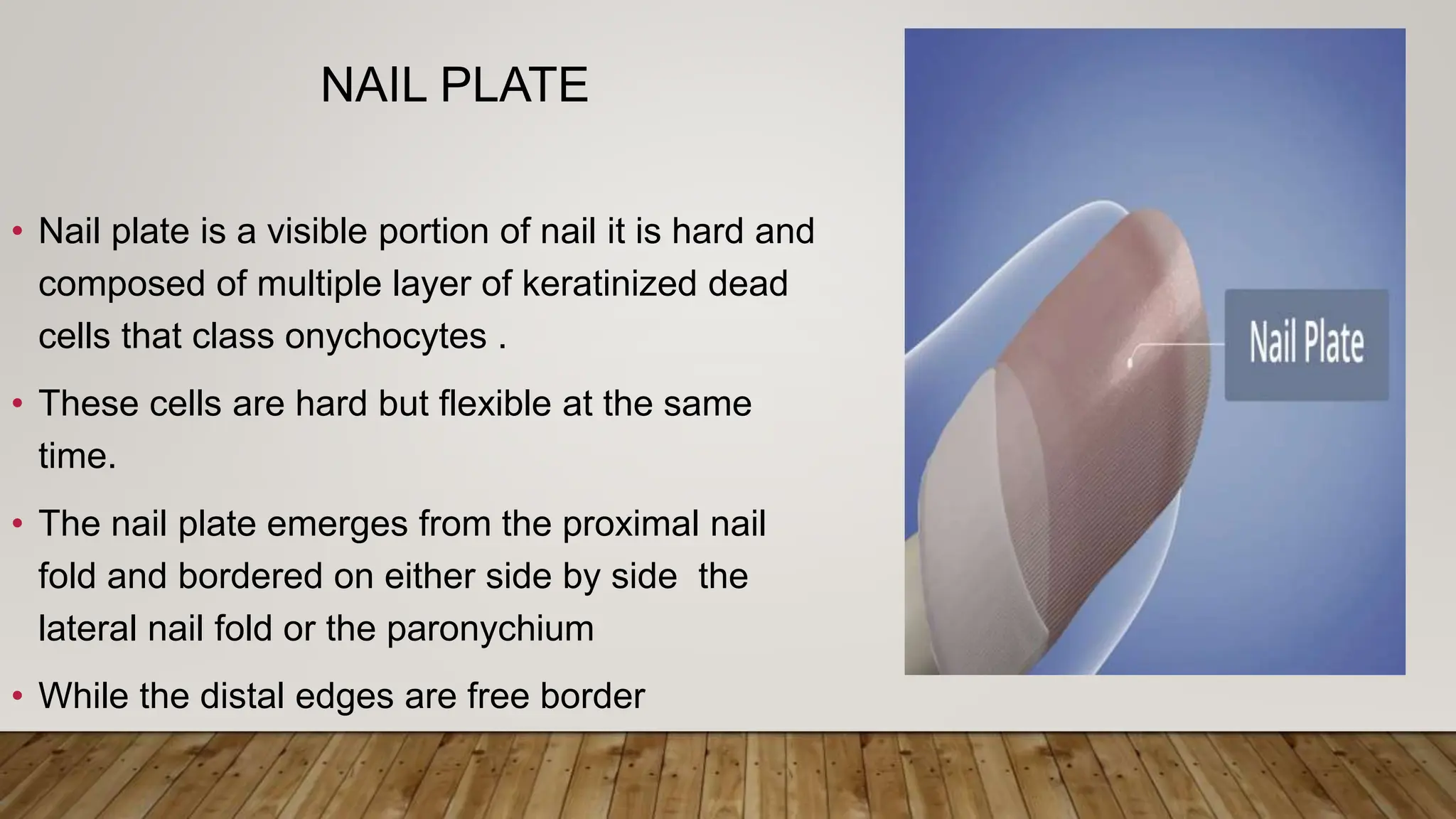 Presentation nail nd hair.pptx for study | PPT