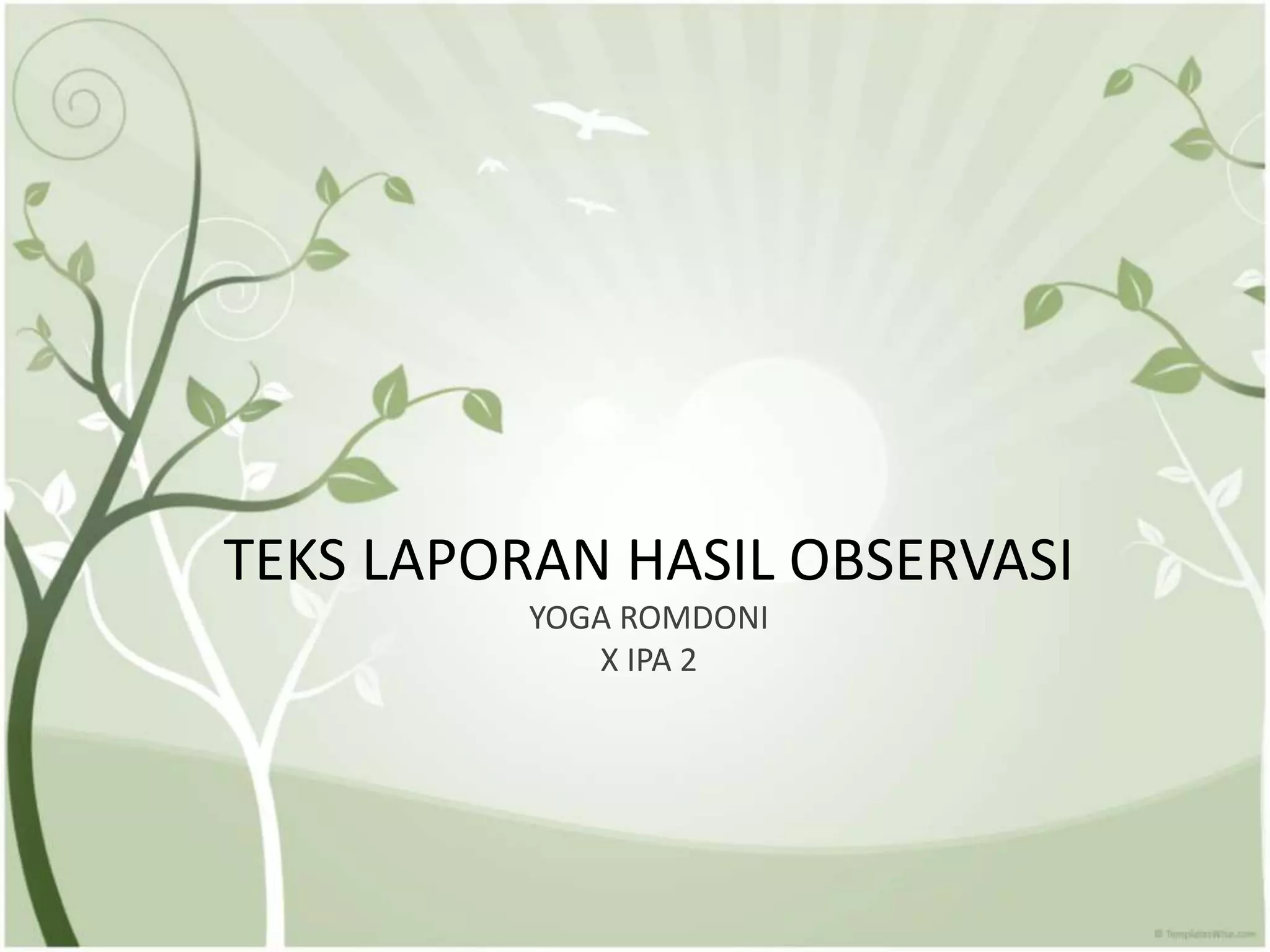 TEKS HASIL OBSERVASI | PPTX