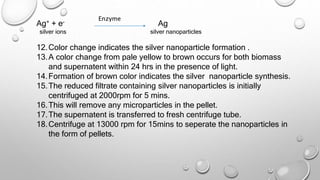 Nanotechnology | PPTX | Chemistry | Science