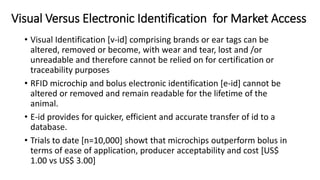 Livestock Identification and Traceability System [LITS] to Enhance ...