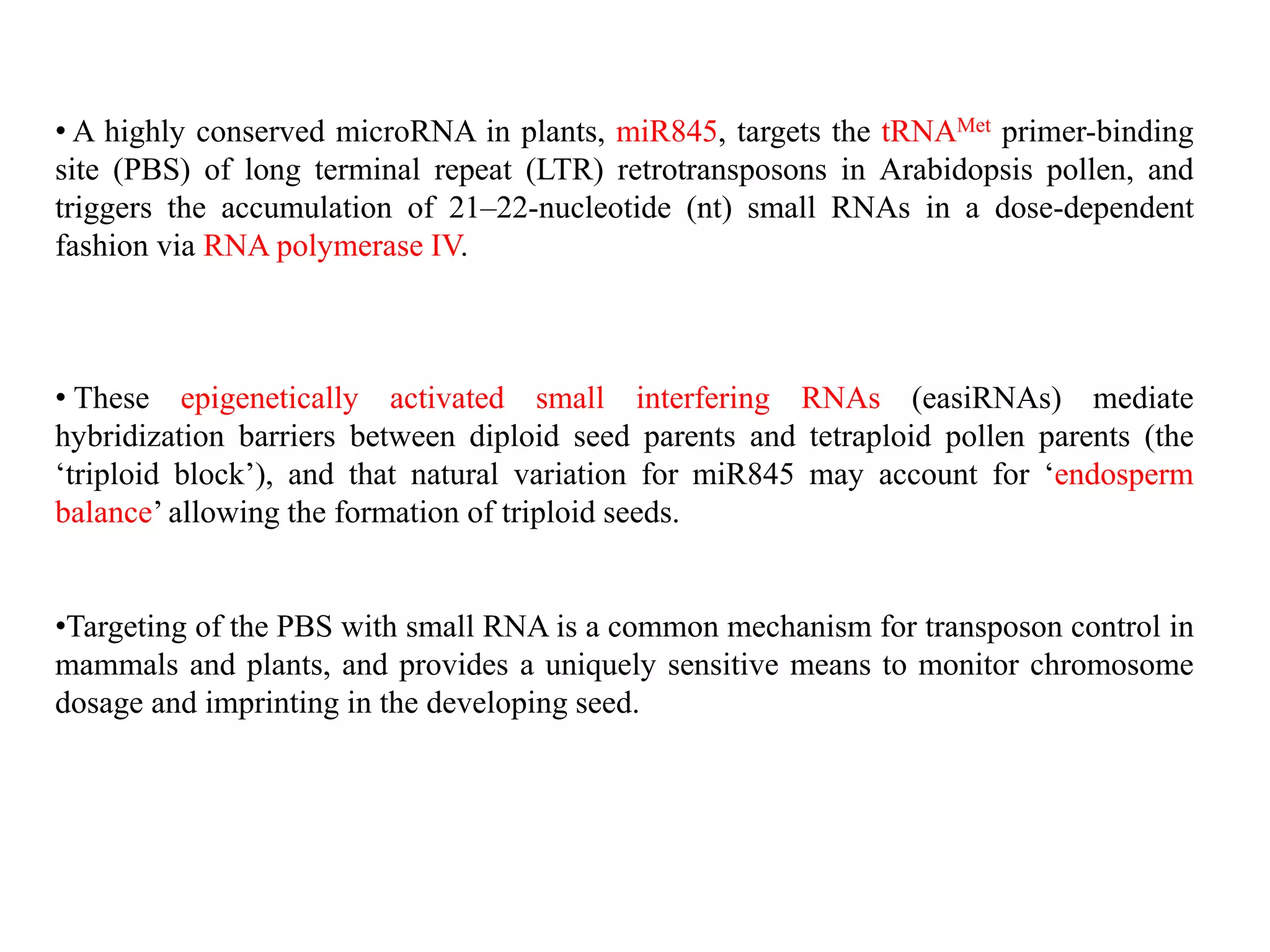 non coding RNA | PPTX