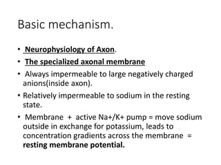 Basic overview of nerve conduction studies | PPTX