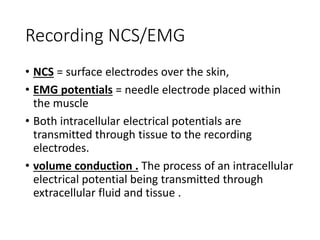 Basic overview of nerve conduction studies | PPTX