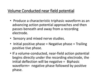 Basic overview of nerve conduction studies | PPTX