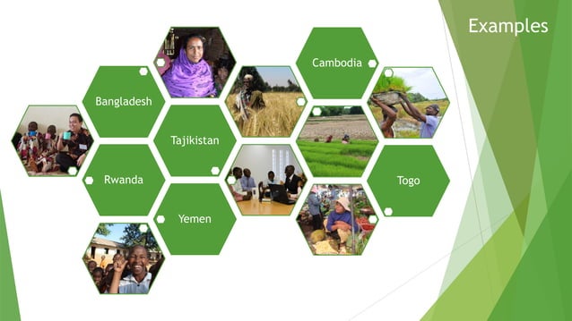 Global Agriculture and Food Security Program (GAFSP) | PDF