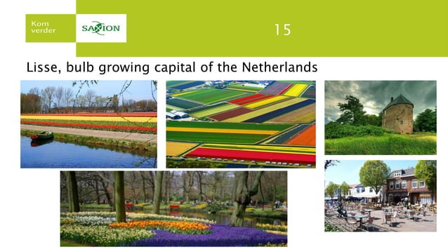 Presentation about the Netherlands | PPTX | Europe Travel | Travel ...