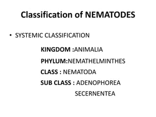 presentation nematodes.pptx