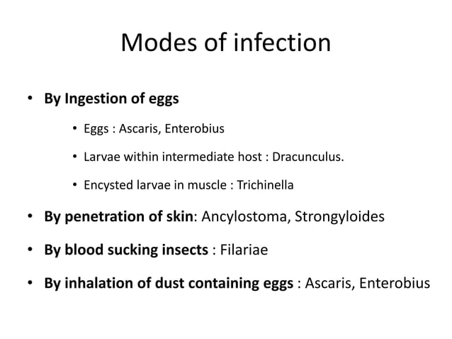 presentation nematodes.pptx