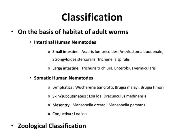 presentation nematodes.pptx