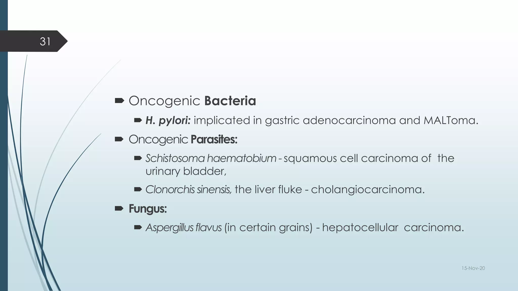 Introduction to Neoplasia | PDF