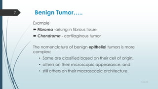 Introduction to Neoplasia | PDF