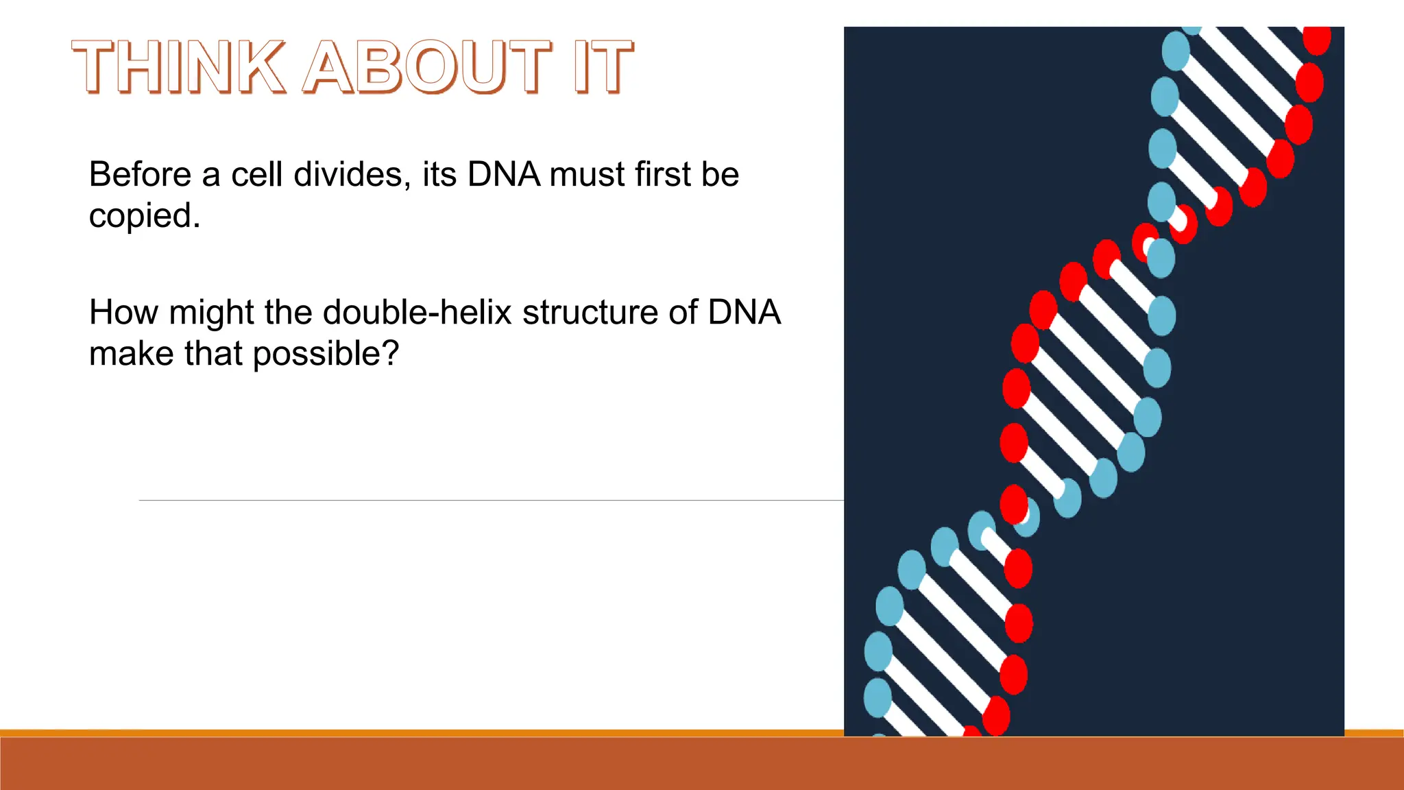 PresentationNEWOF REPLICATION ANDTRANSCRIPTION.pptx