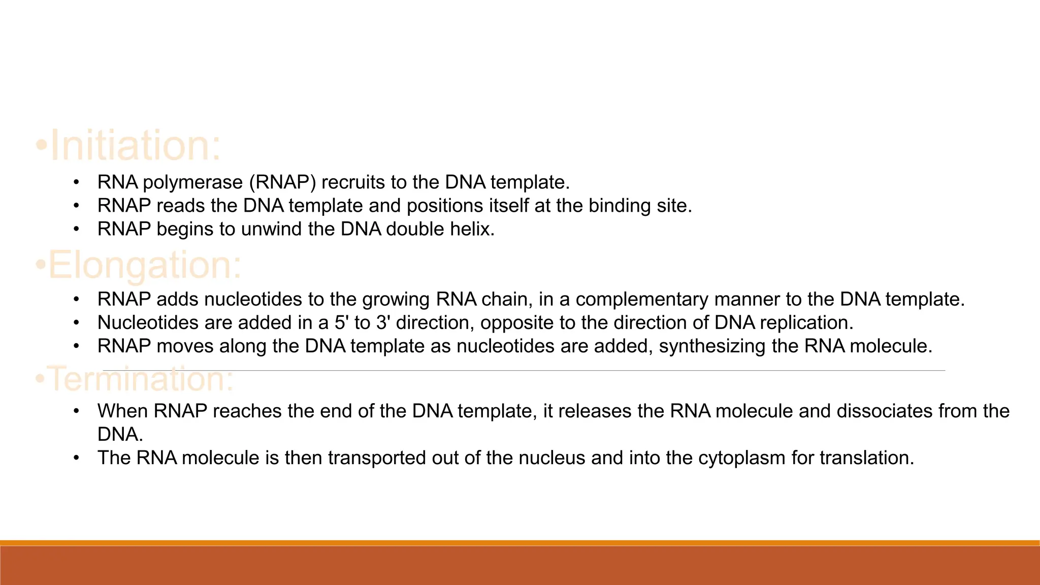 PresentationNEWOF REPLICATION ANDTRANSCRIPTION.pptx | Chemistry | Science
