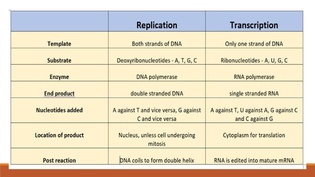 PresentationNEWOF REPLICATION ANDTRANSCRIPTION.pptx | Chemistry | Science