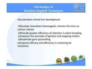 Doubled Haploid Production Techniques of Horticultural Crops | PPT