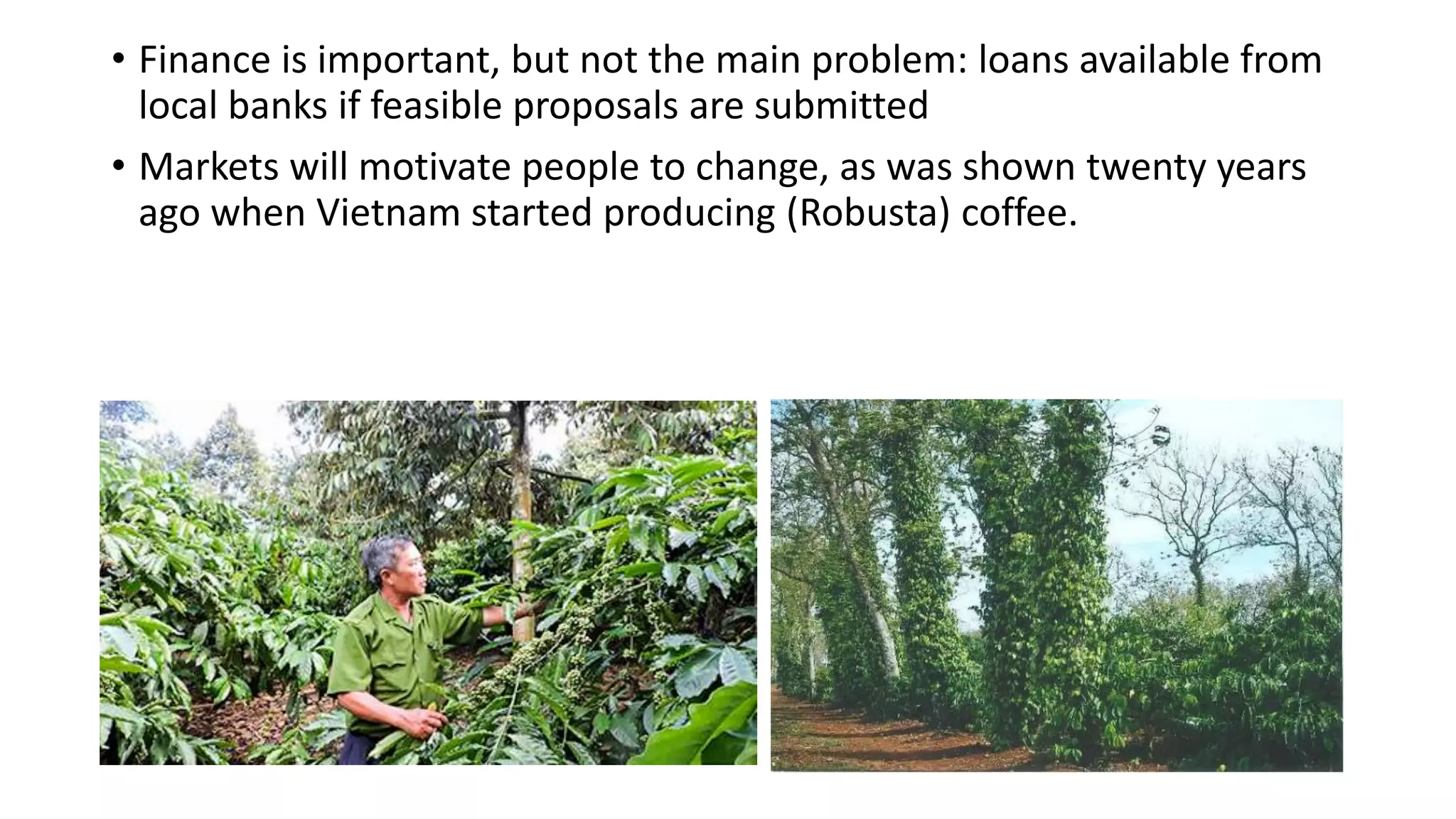 Coffee Plantation and Challenges in Central Highlands Landscape – Viet ...