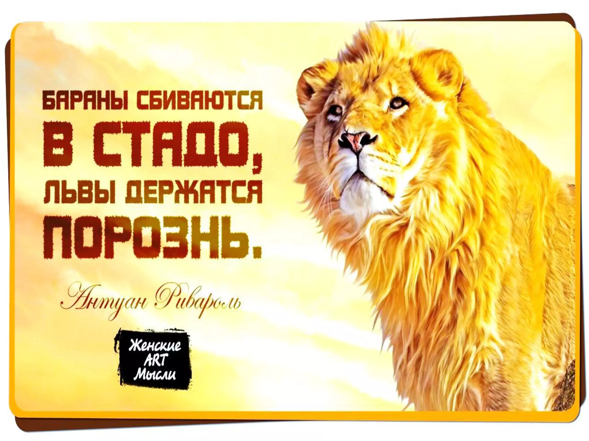 Presentation nika | PDF