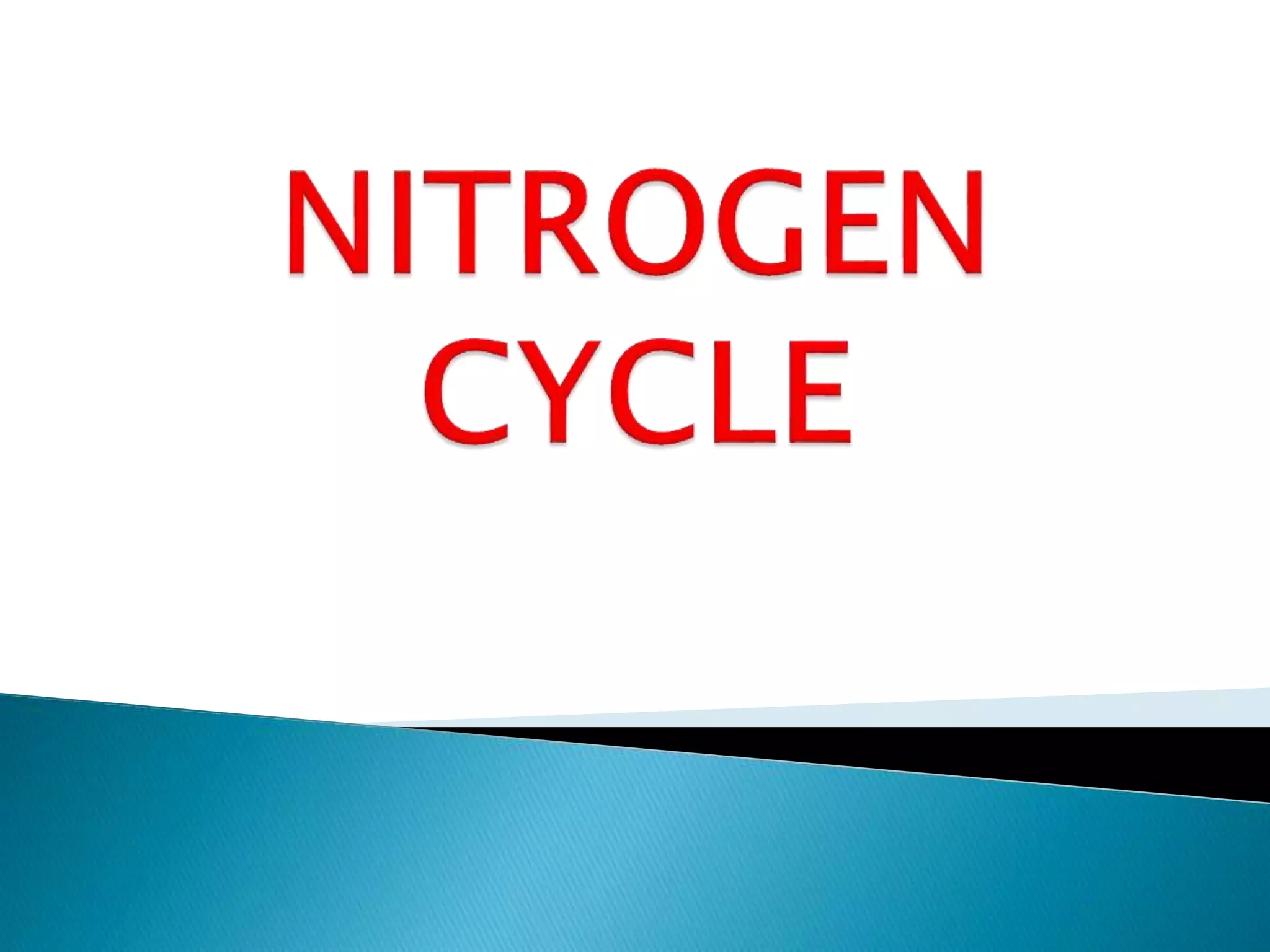 Presentation nitrogen cycle | PPTX
