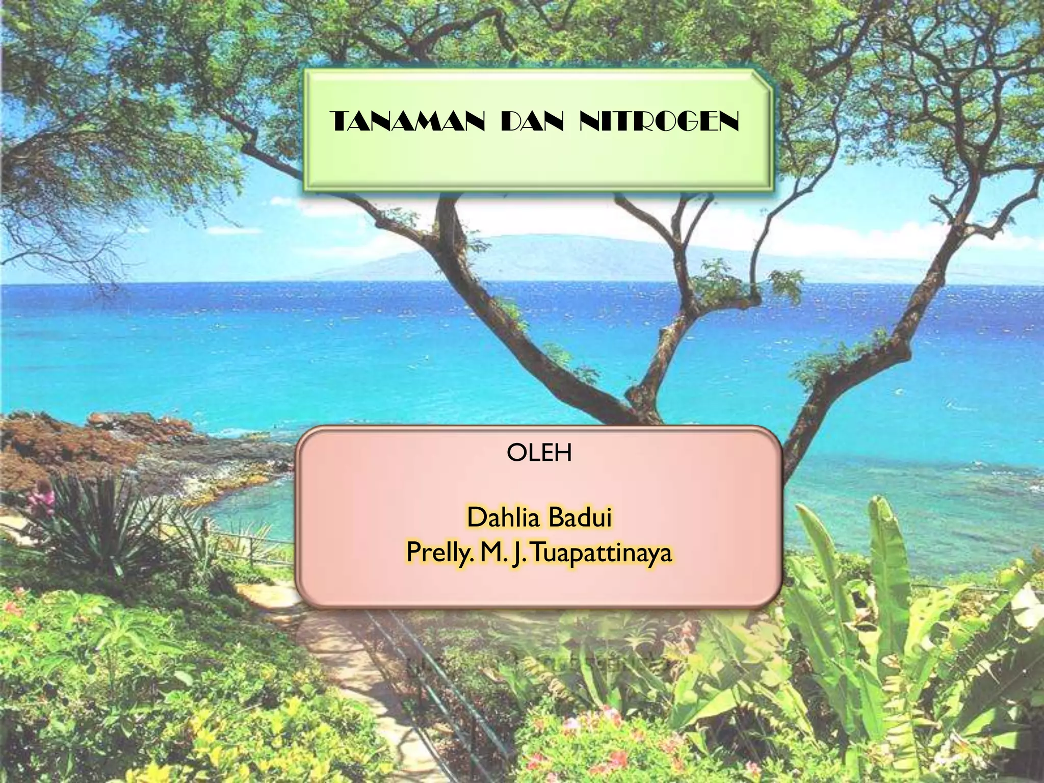 Presentation nitrogen prely | PPTX