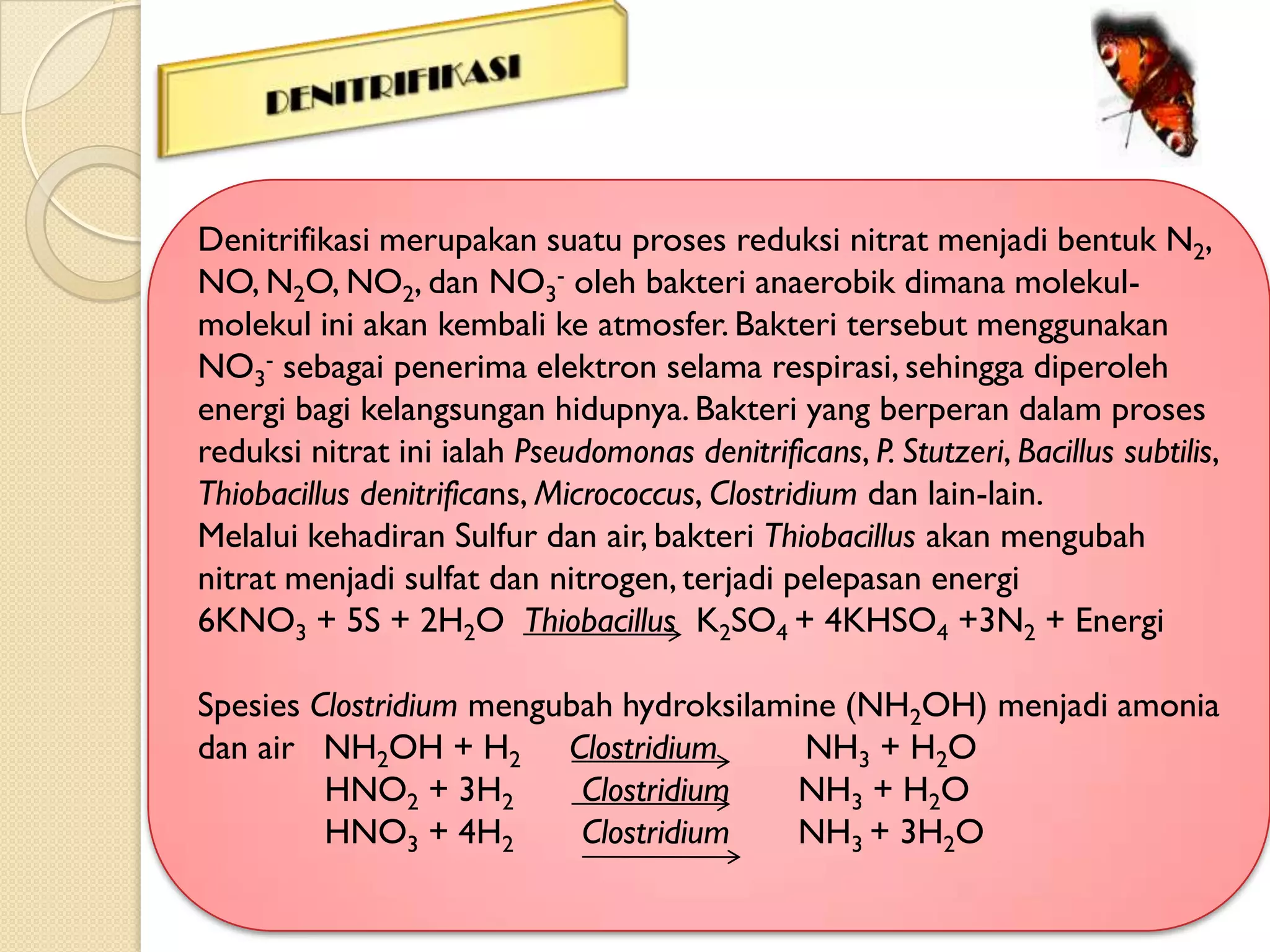 Presentation nitrogen prely | PPTX