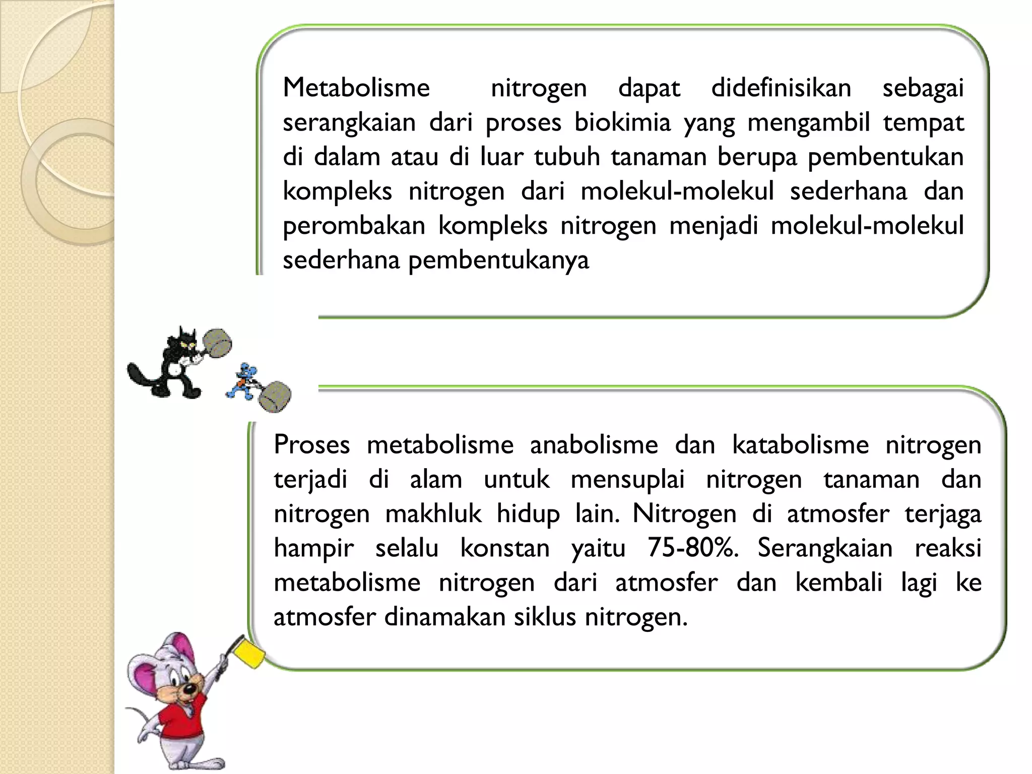 Presentation nitrogen prely | PPTX
