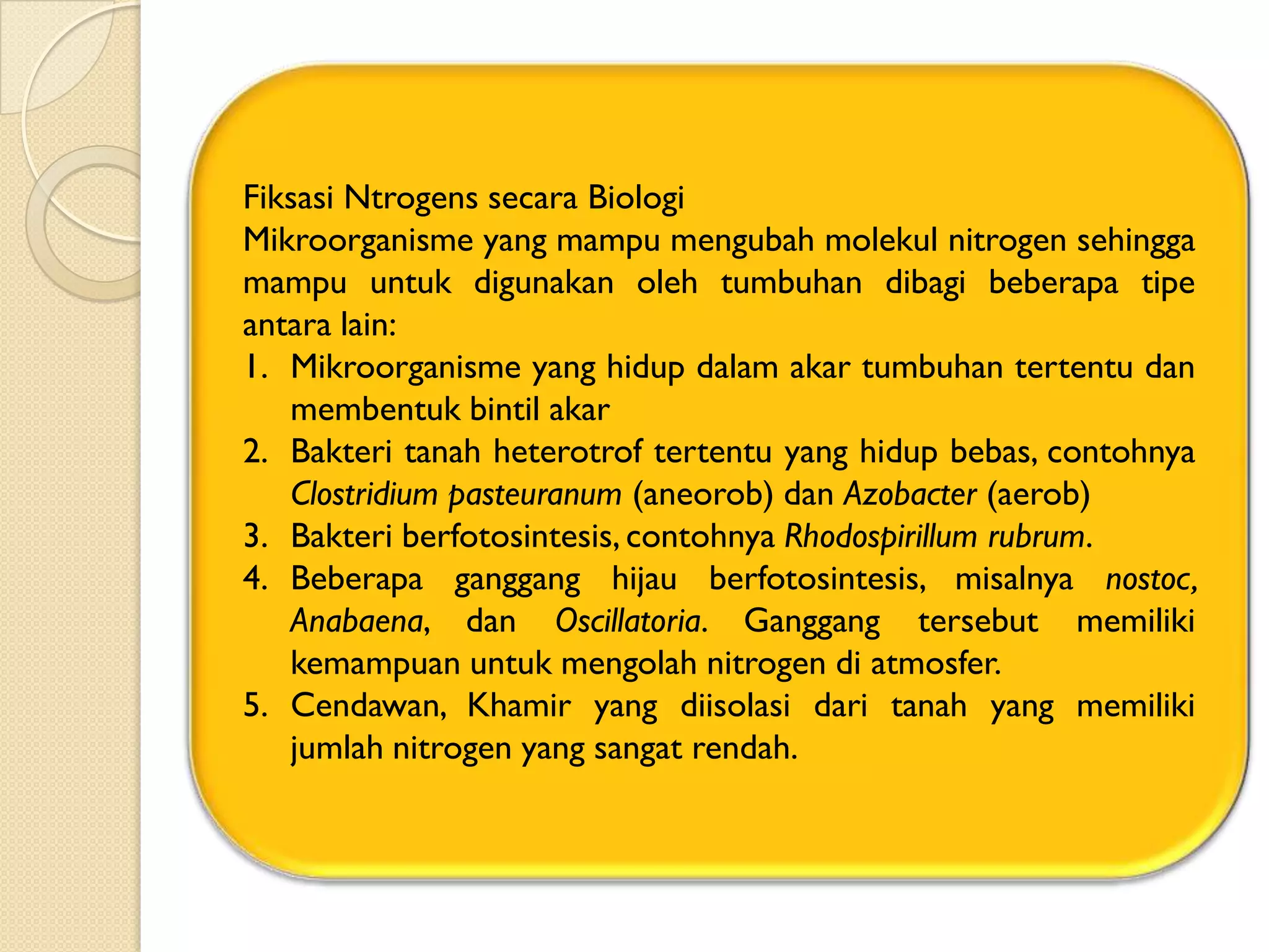 Presentation nitrogen prely | PPTX