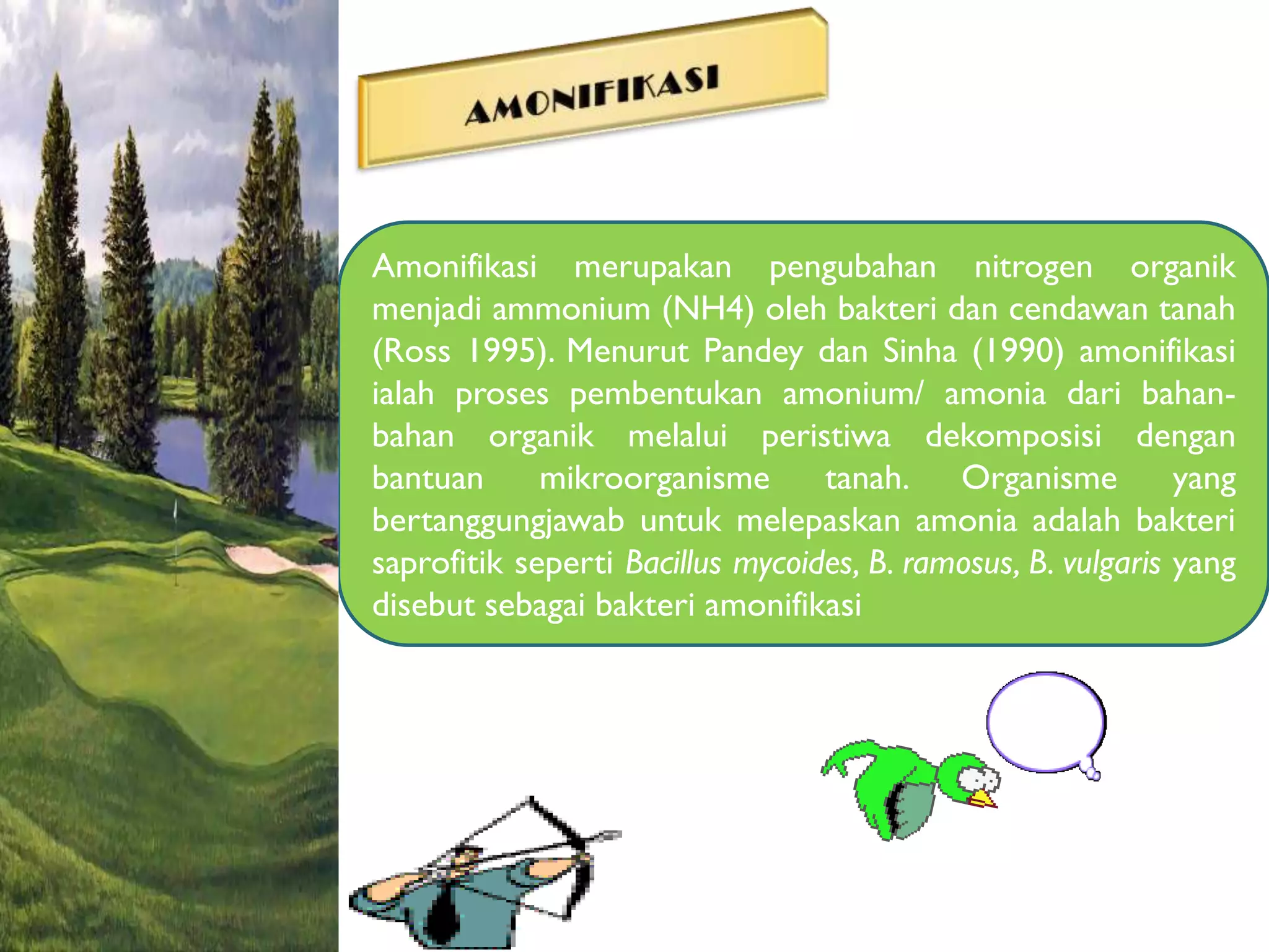 Presentation nitrogen prely | PPTX