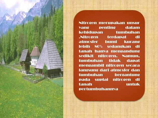 Presentation nitrogen prely | PPTX