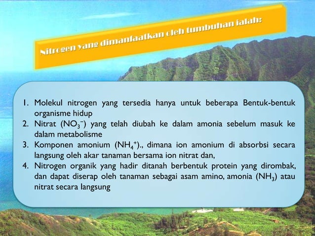 Presentation nitrogen prely | PPTX