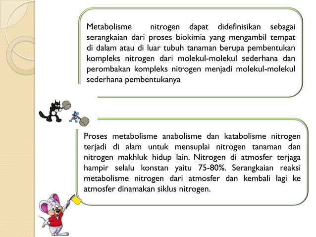 Presentation nitrogen prely | PPTX
