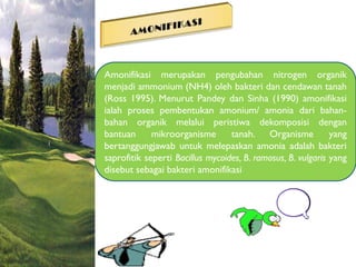 Presentation nitrogen prely | PPTX