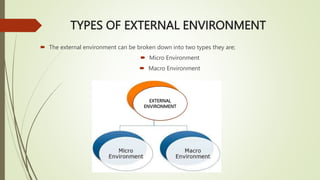 EXTERNAL ENVIRONMENT OF BUSINESS | PPTX