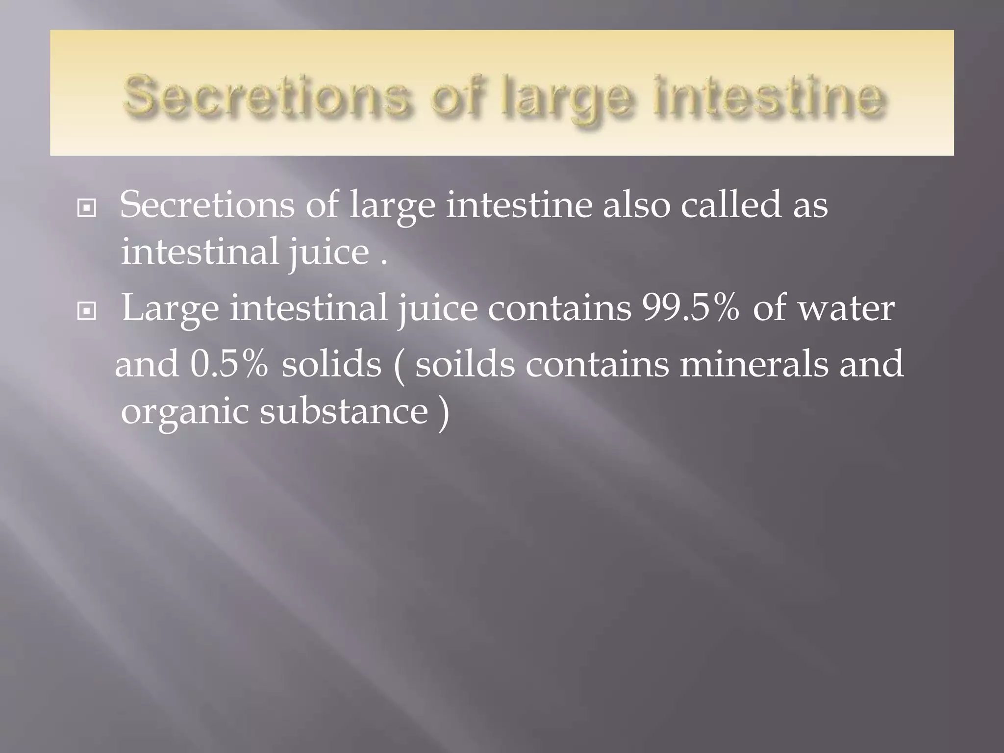 Presentation of large intestine by Aqib Javed | PPTX | Digestive ...