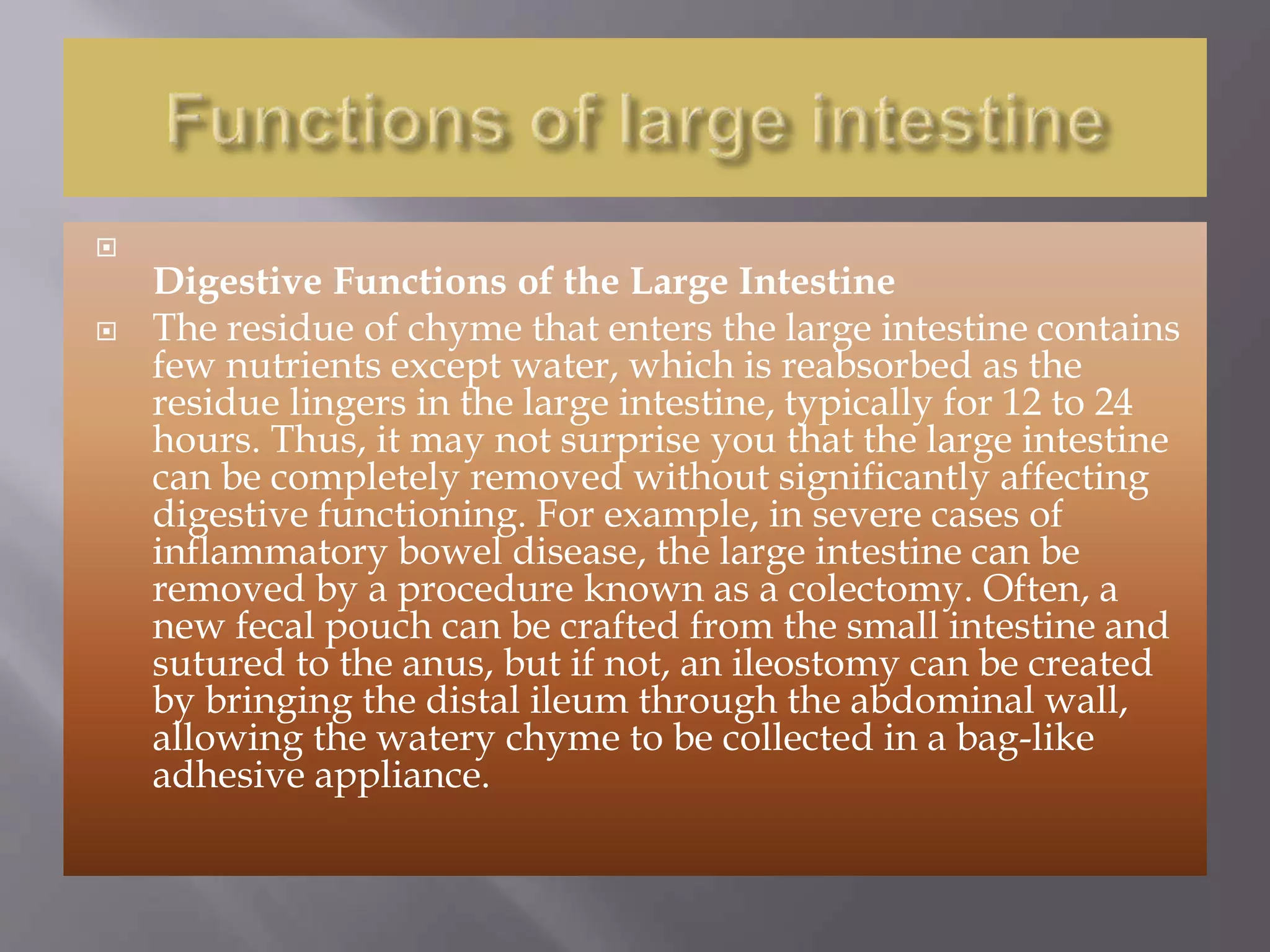 Presentation of large intestine by Aqib Javed | PPTX | Digestive ...