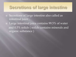 Presentation of large intestine by Aqib Javed | PPTX