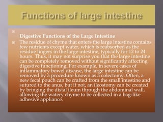 Presentation of large intestine by Aqib Javed | PPTX