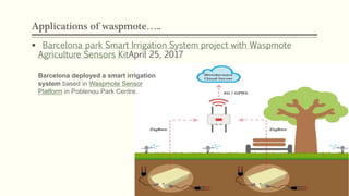 waspmote Presentation | PPT