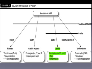Presentation nsaids ams | PPTX