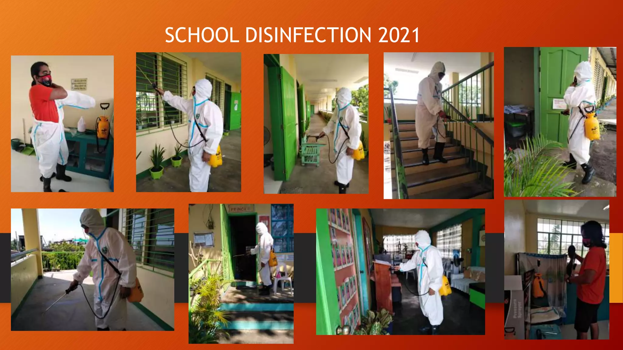 PRESENTATION NSED.pptx